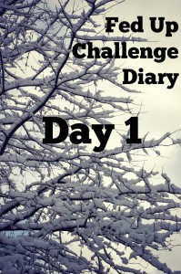 Fed Up Challenge Diary - Day 1 ~ The Kitchen Snob
